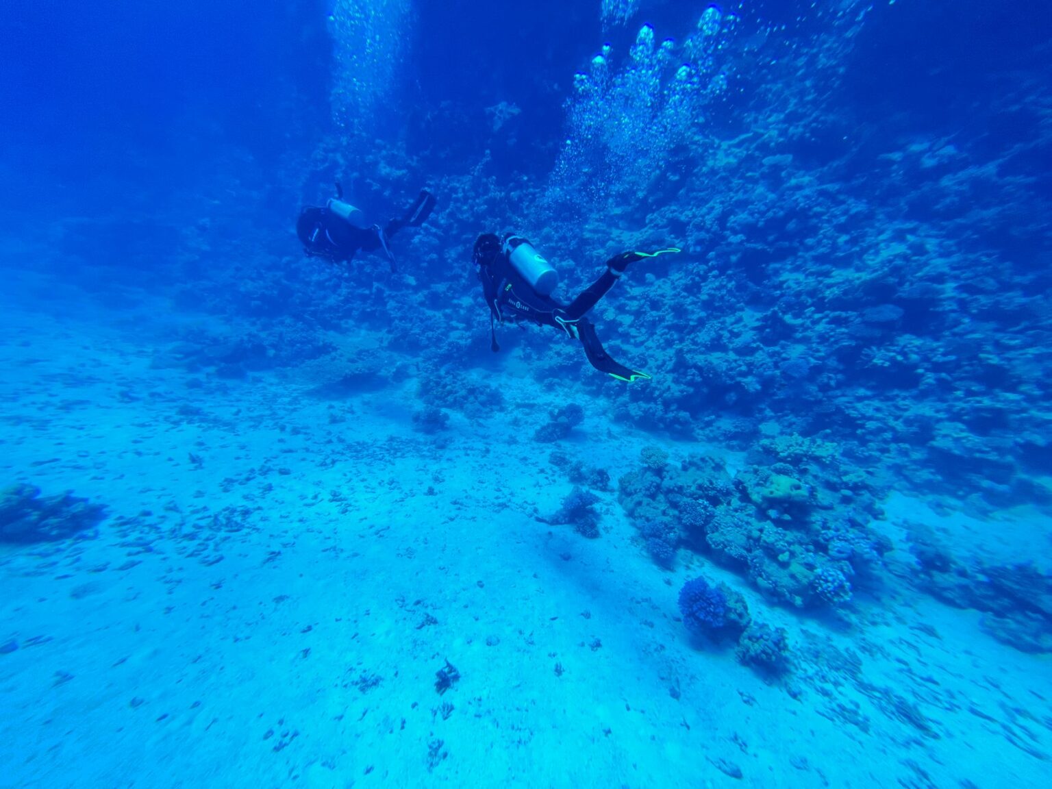 Jacques Cousteau: vita ed eredità dell'esploratore degli oceani ...